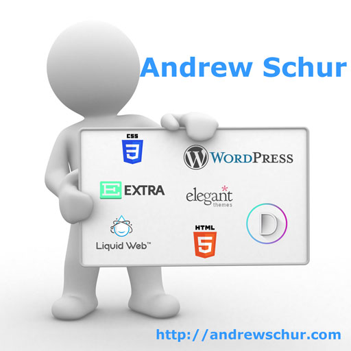 About Andrew Schur